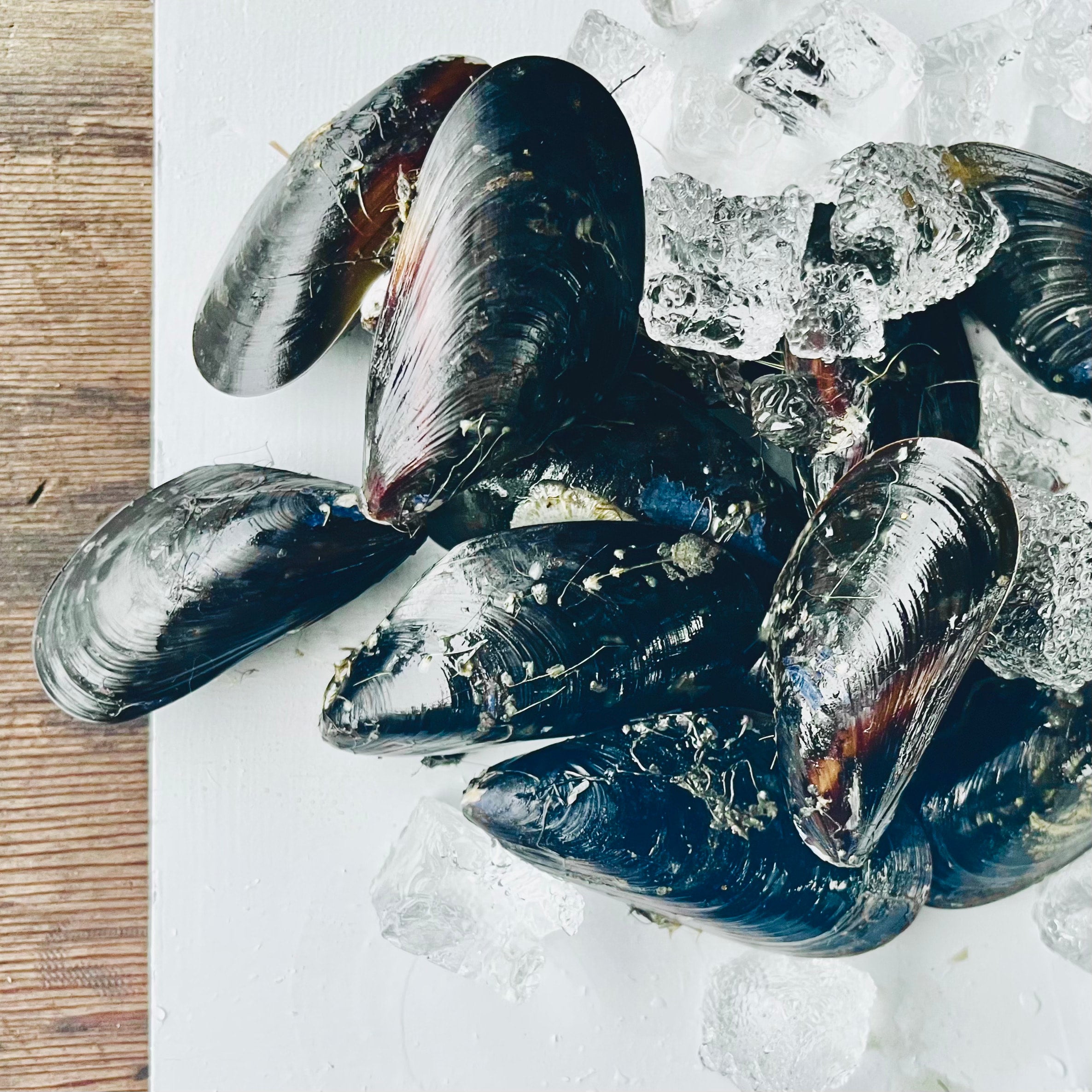 Mussels | WESTCOTT BAY SHELLFISH